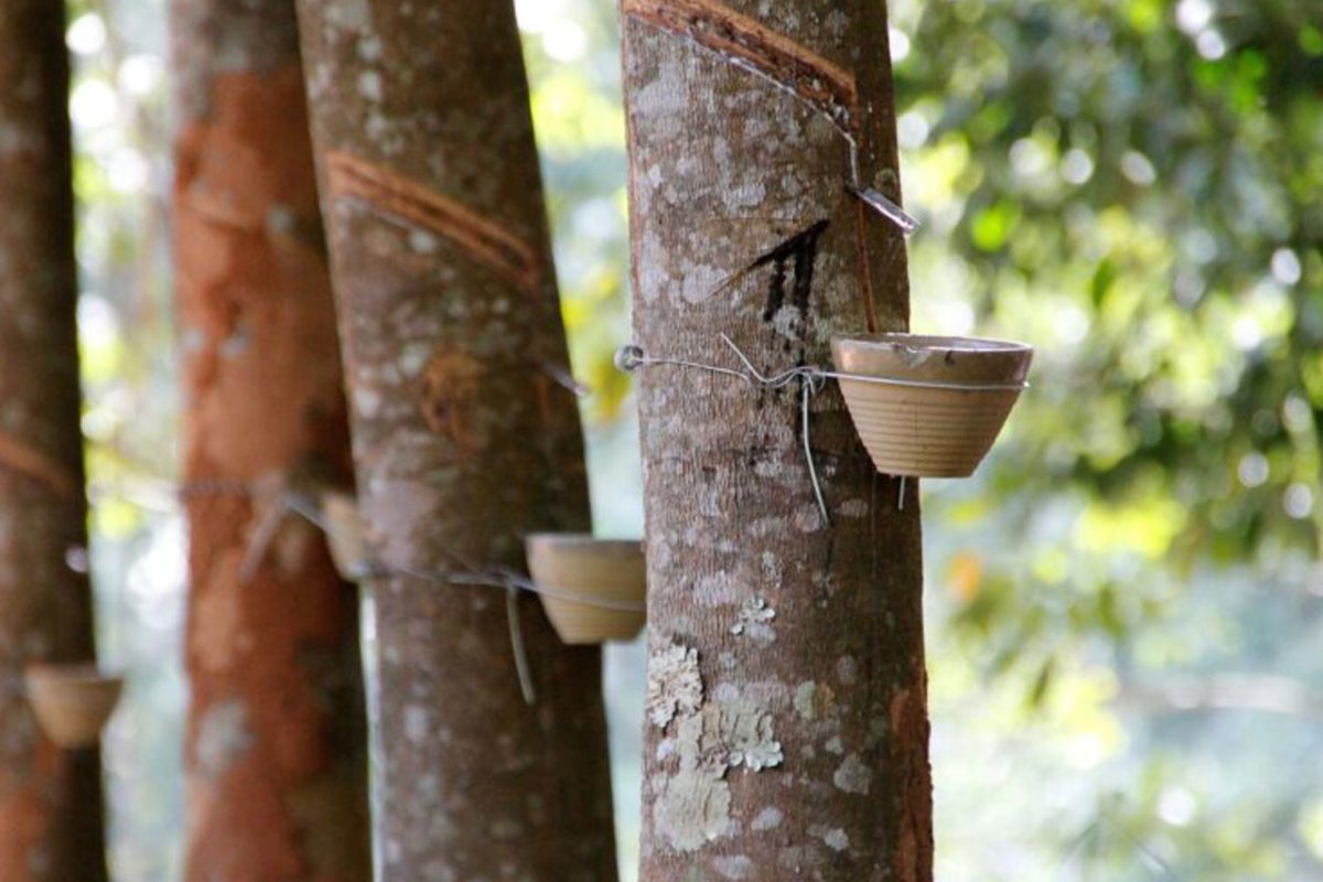 Rubber afdichtingen en pakkingen. Zelf maken of laten maken.